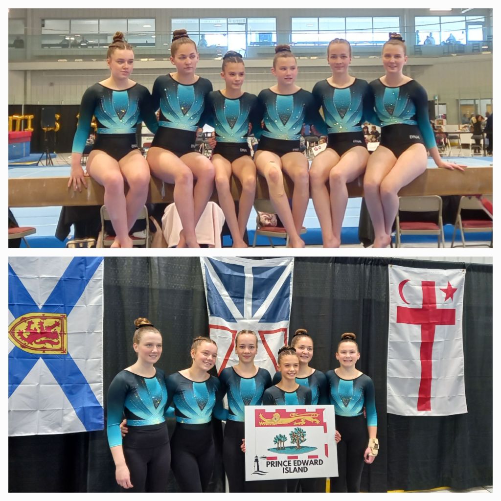 Island Gymnastics Academy | 40 YEARS STRONG